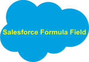 Formula Fields in Salesforce: A Complete Guide - Vortexify Sync